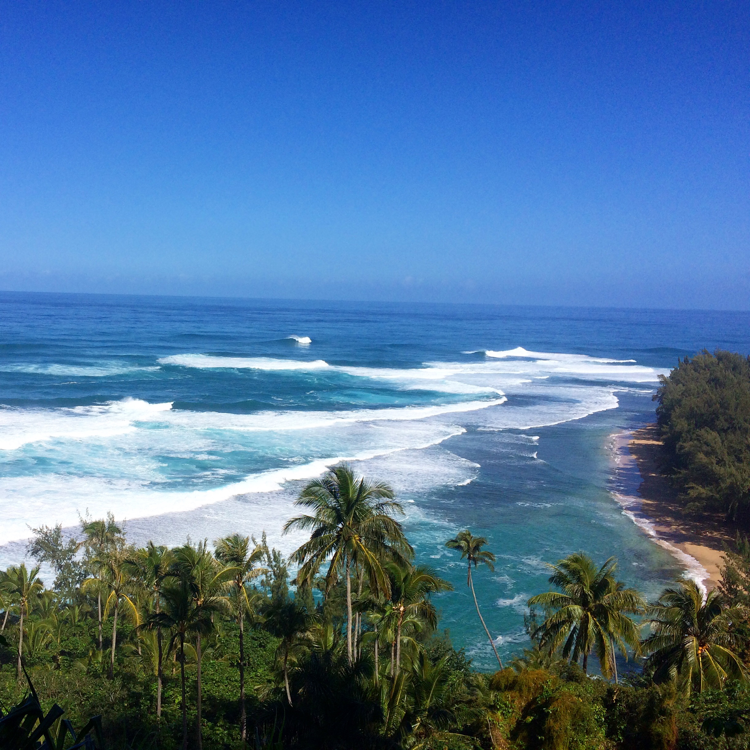 5 Things I Brought Home with Me from Hawaii – Life as Lauren